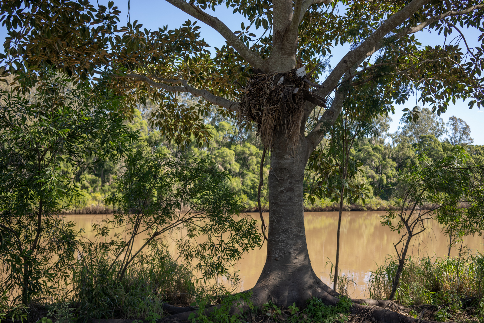 Tales From The River That Runs Through Logan's History | *PS News